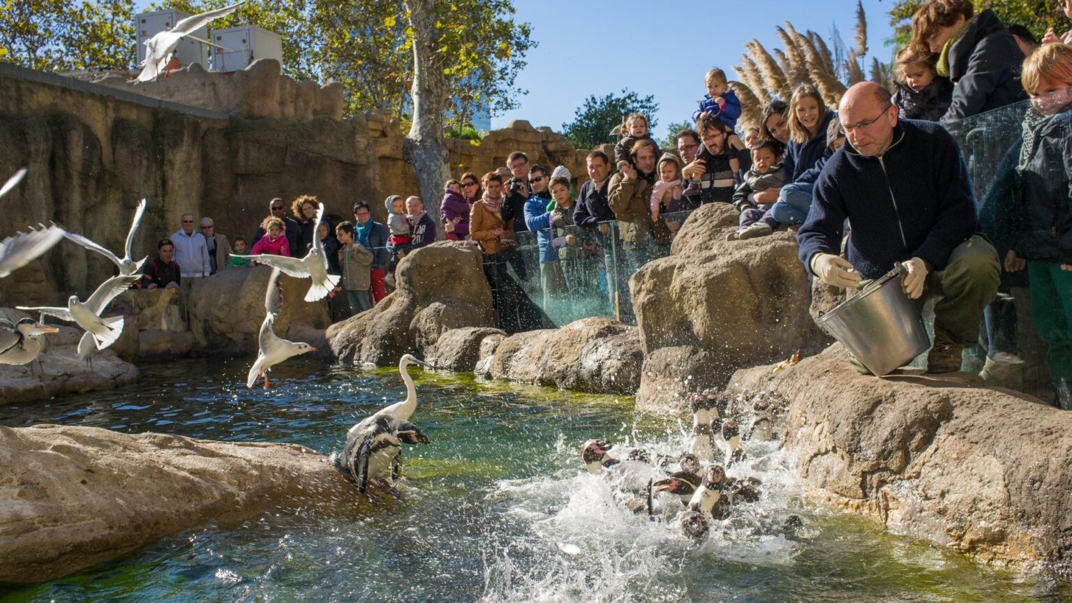 Animal Exhibit Structures | Celtic Engineering
