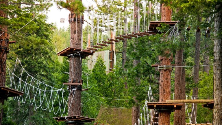 Tension Structures | Celtic Engineering
